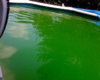 Problems Solutions - NaturalChemistry