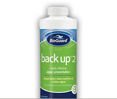 Algae killing and prevention - BioGuard