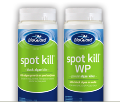 Algae killing and prevention - BioGuard