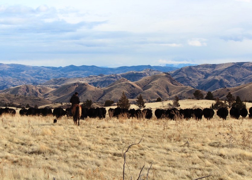 About - Muddy Ranch Young Life Property