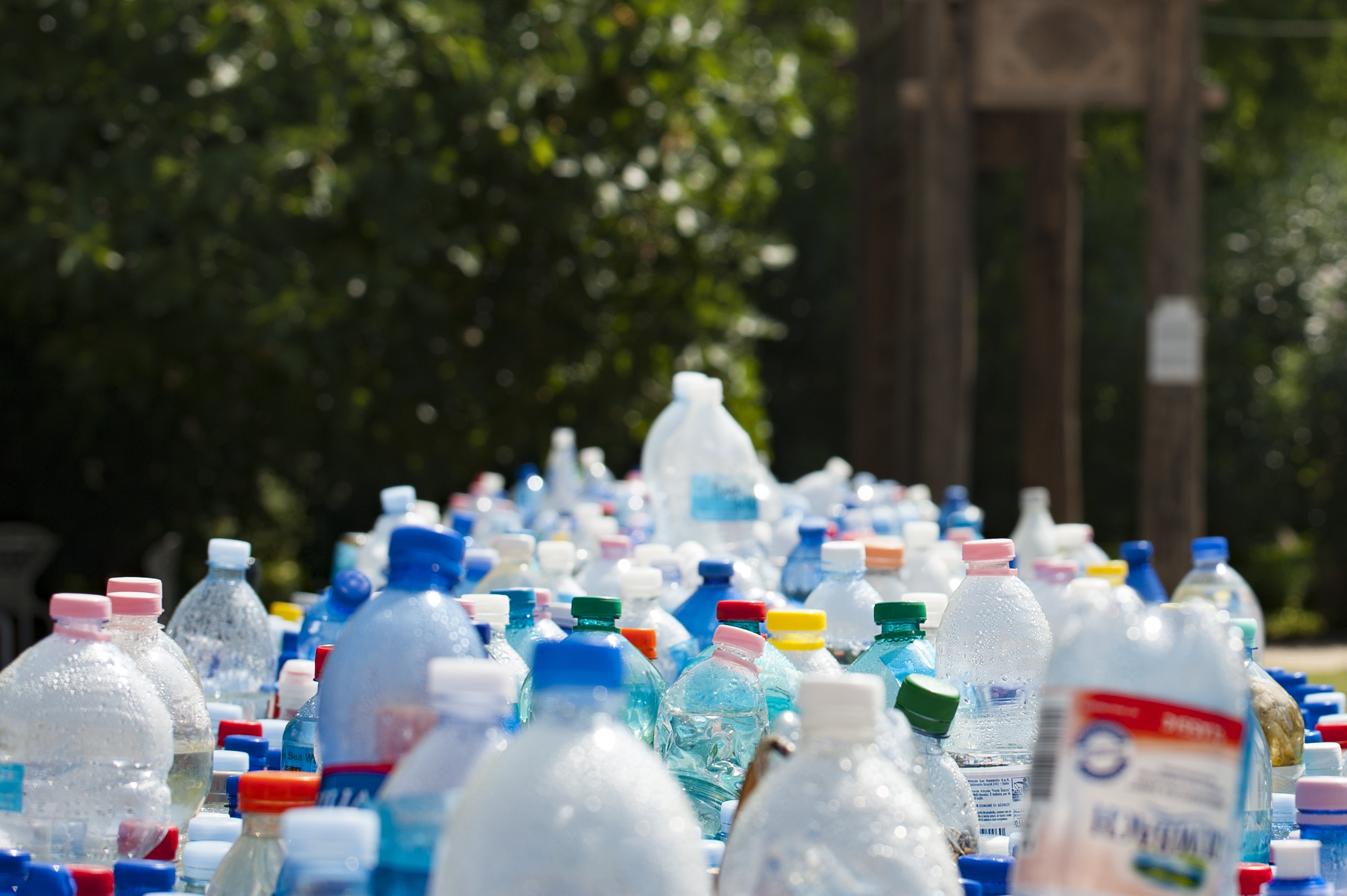 Disposal Recycle Guide - Waste Connections